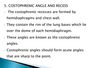 Chest x-ray.zp162335 | PPT