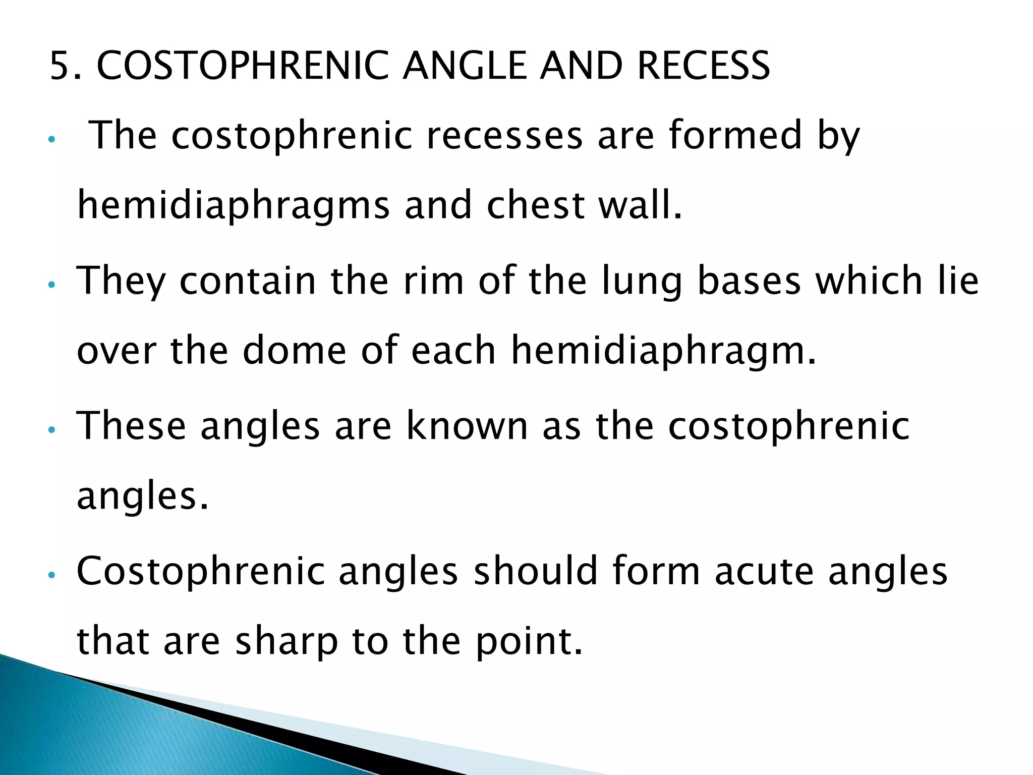 chest-x-ray.zp162335.ppt