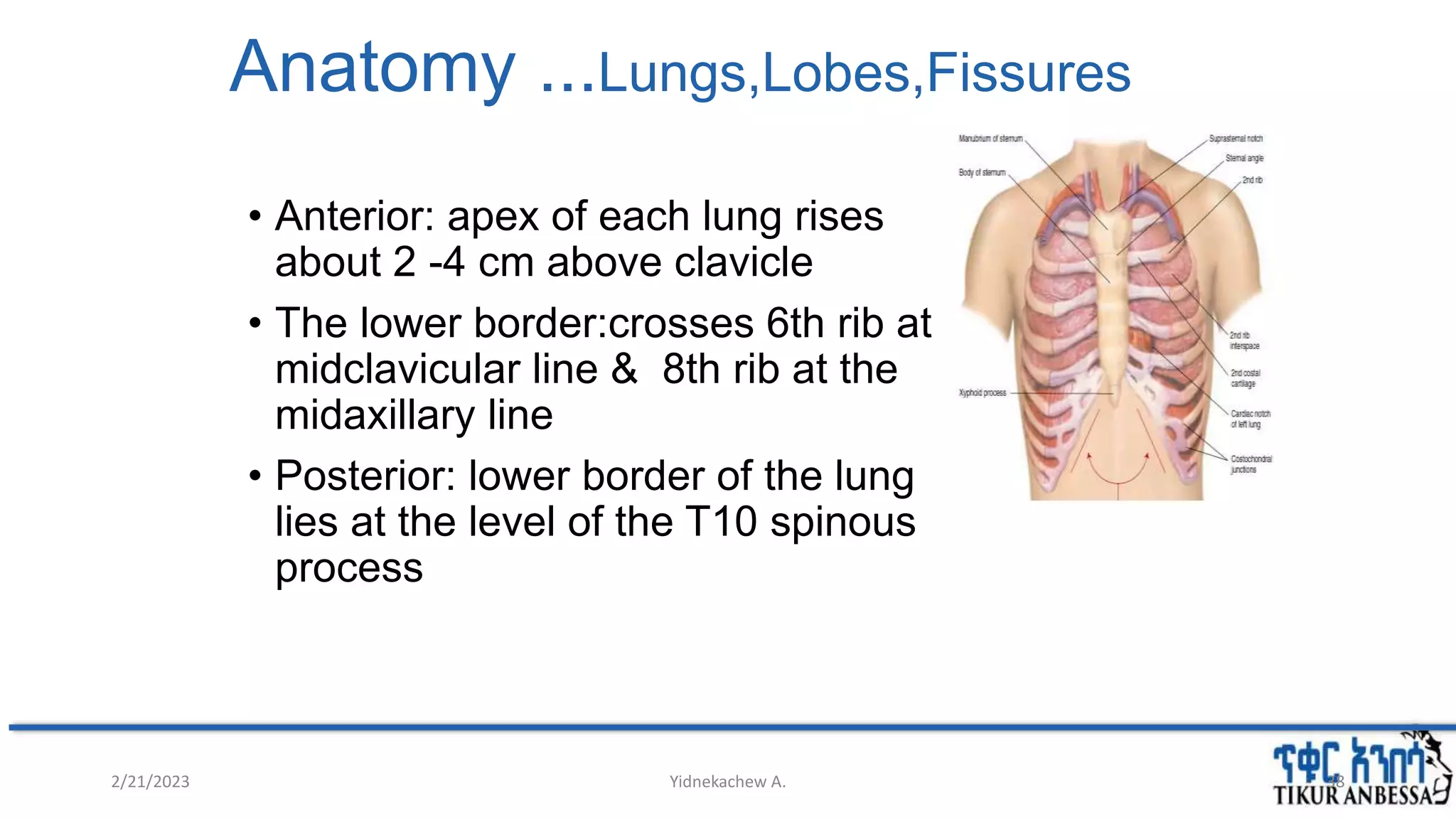 Chest, Abdomen and GUS.pptx