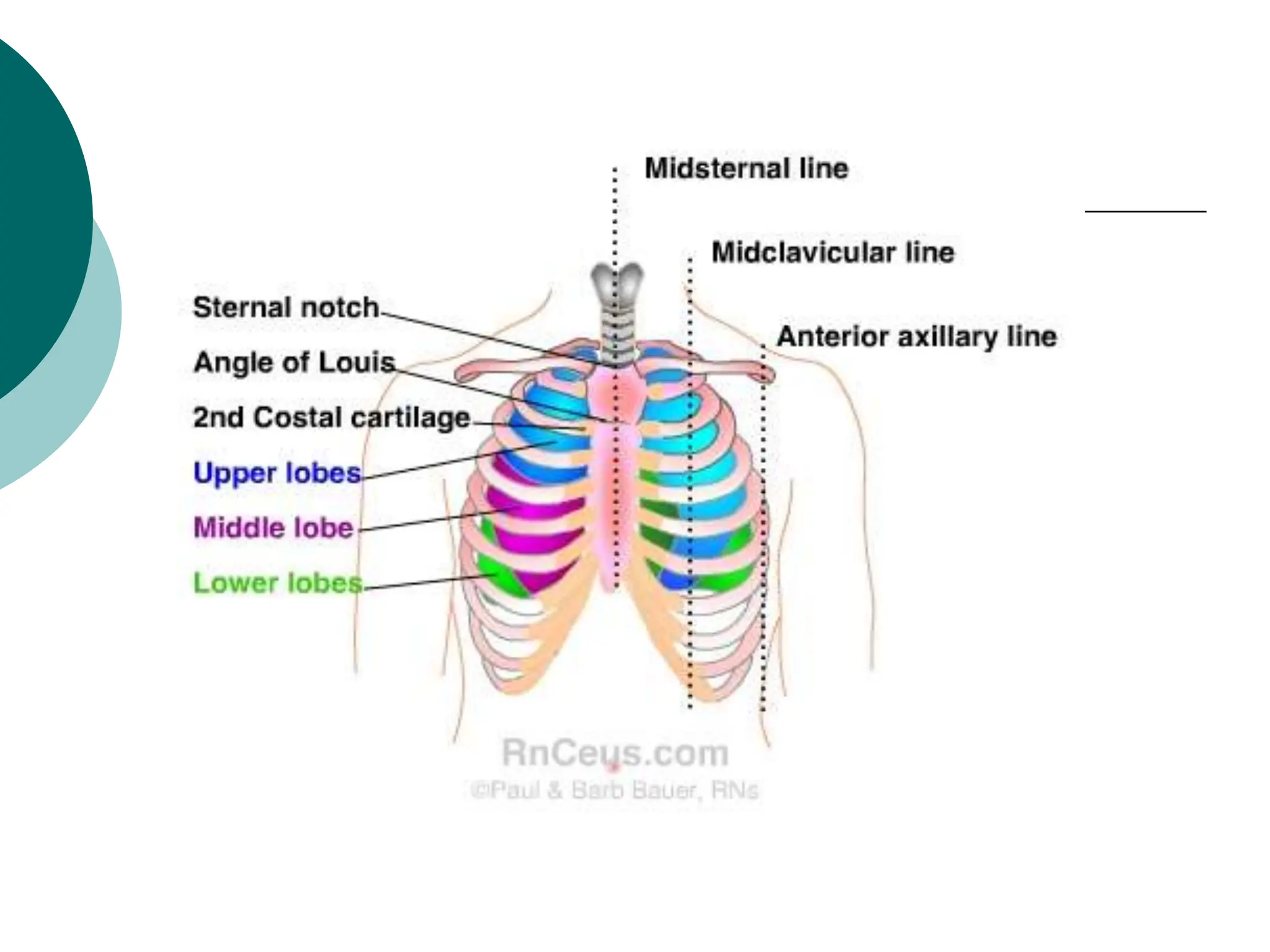 Chest_auscultation.ppt