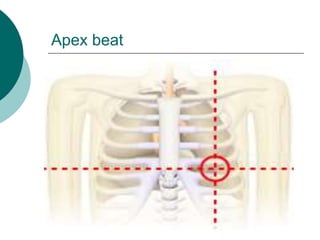 Chest_auscultation.ppt