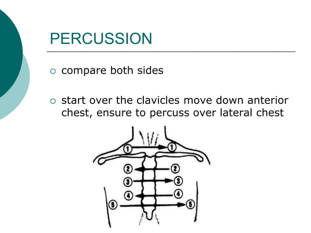 Chest_auscultation.ppt