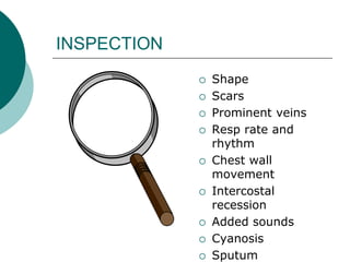 Chest_auscultation.ppt