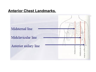 Chest_auscultation.ppt respiratory assessment | PPT