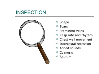 Chest_auscultation.ppt respiratory assessment | PPT