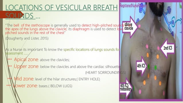 Chest auscultation & lung sounds assessment for nurses | PPTX