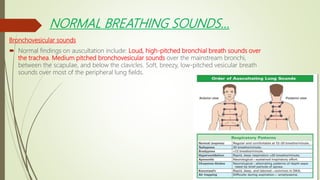Chest auscultation & lung sounds assessment for nurses | PPTX