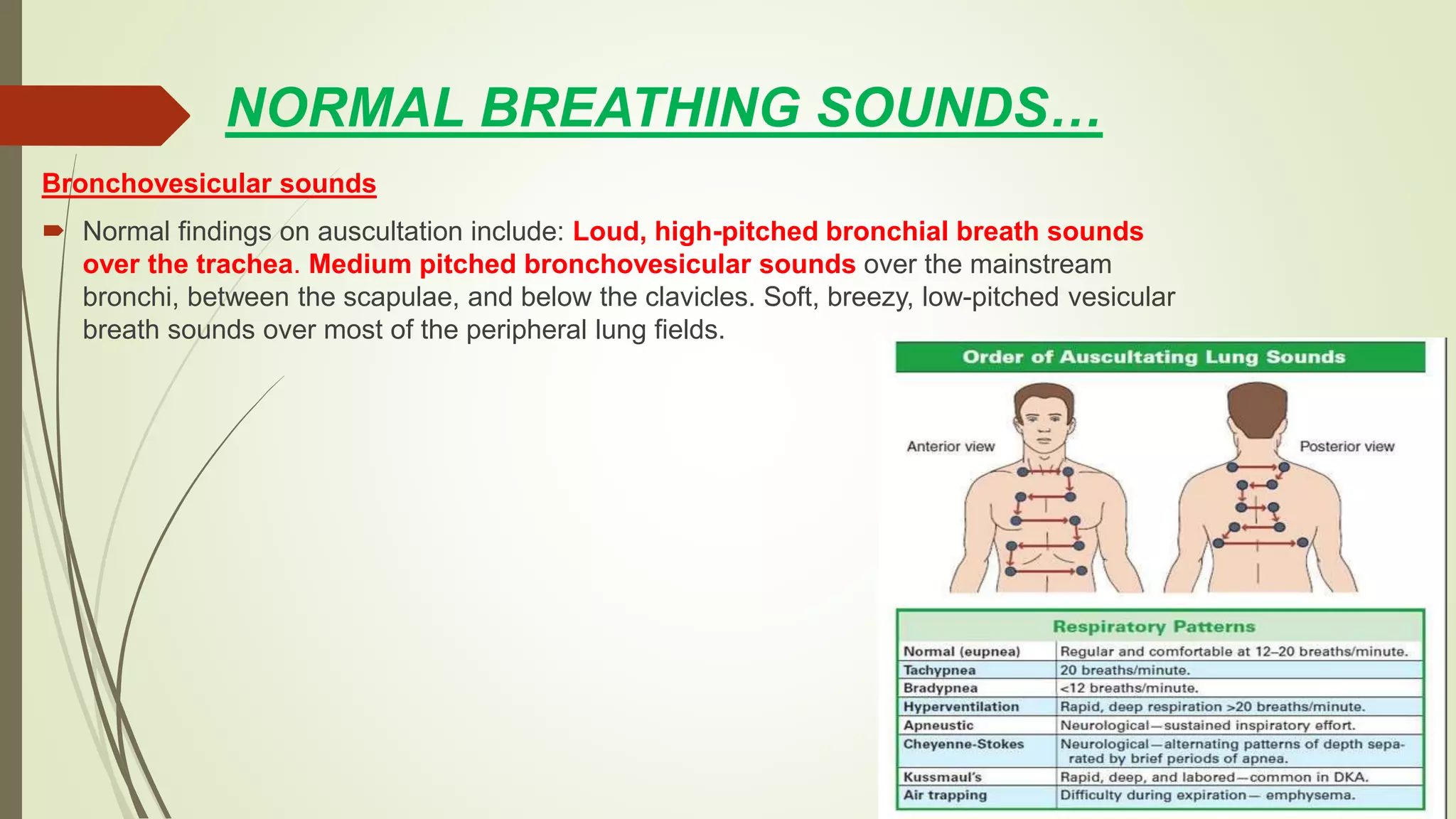 CHEST AUSCULTATION LUNGS SOUNDS & HEART SOUNDS ASSESSMENT murugesh.pptx ...