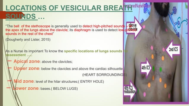 CHEST AUSCULTATION LUNGS SOUNDS & HEART SOUNDS ASSESSMENT murugesh.pptx ...