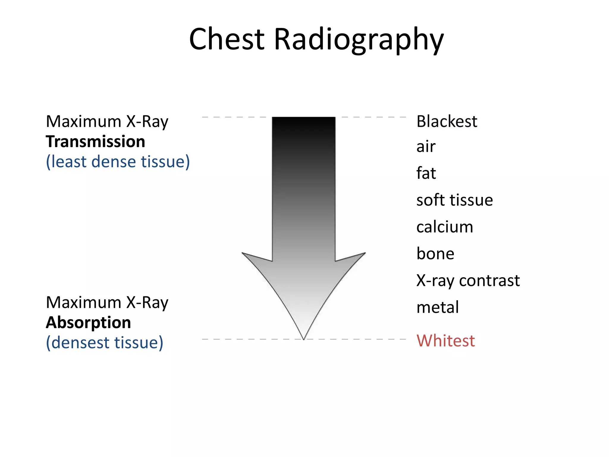 Chest basics + usg dr patil 21818 | PPTX