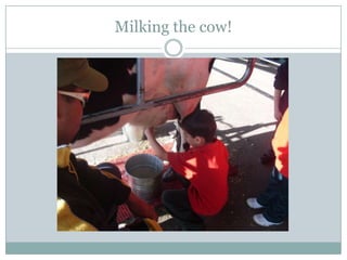 Chesterfield farm excursion ppt | PPTX