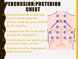 Chest examination | PPT