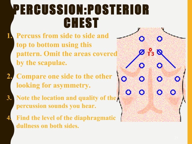 Chest examination | PPT