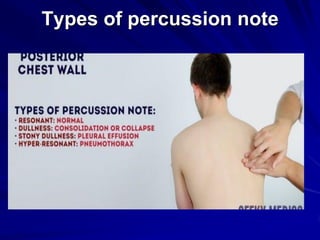 Chest examination magdi sasi2021 | PPT