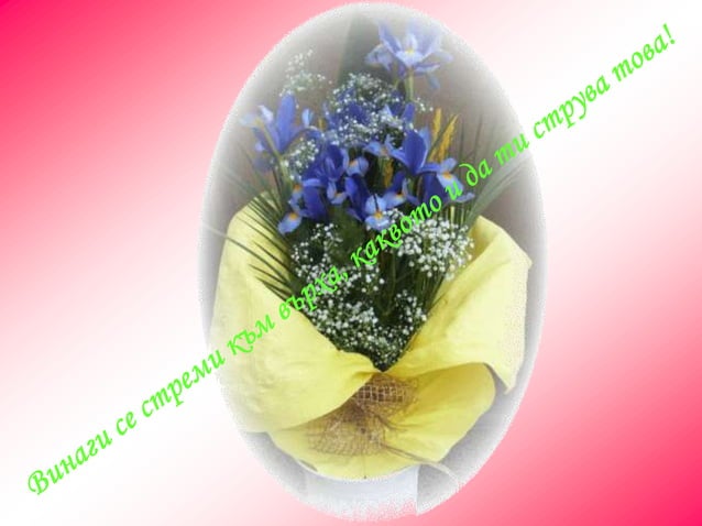 Chestit praznik! | PPTX