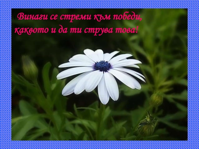 Chestit praznik! | PPTX