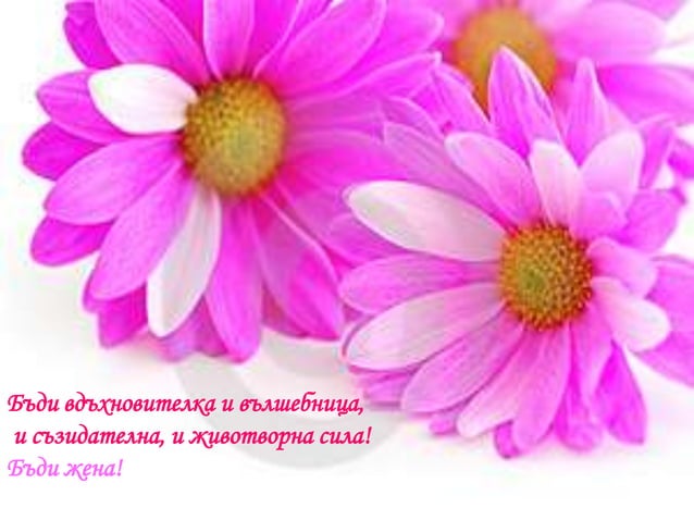 Chestit praznik! | PPTX