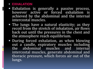 Chest Physiotherapy | PPTX