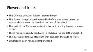 Chestnut production | PPTX | Gardening | Home & Garden