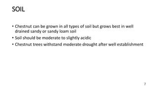 Chestnut production | PPTX | Gardening | Home & Garden