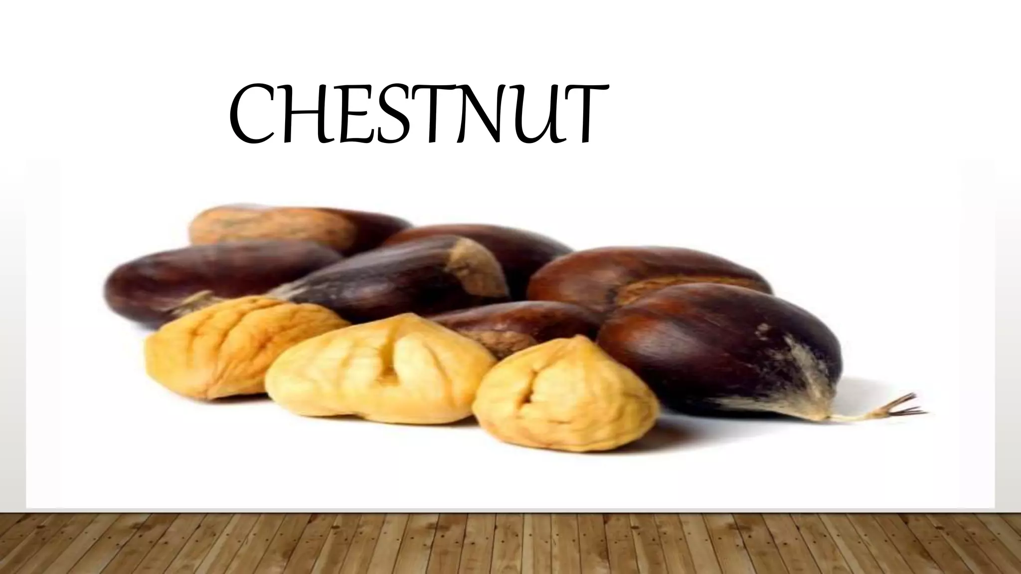 chestnut .ppt