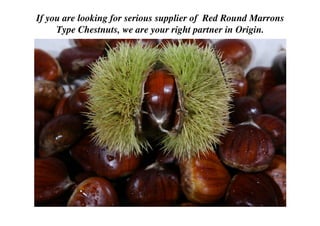 Chestnuts : Packing, Transporting And Risk Factors | PDF