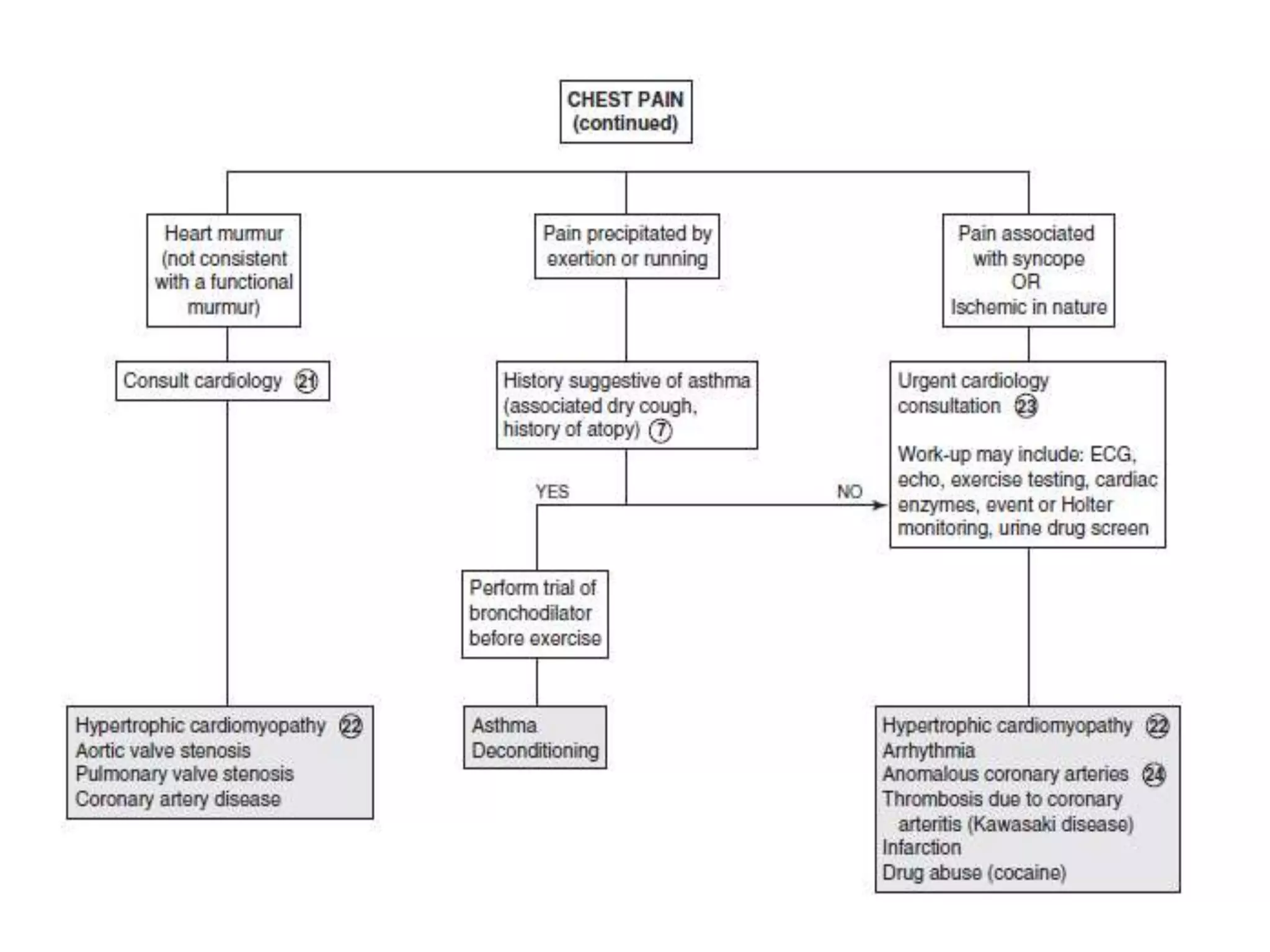 Chest pain in children | PPTX