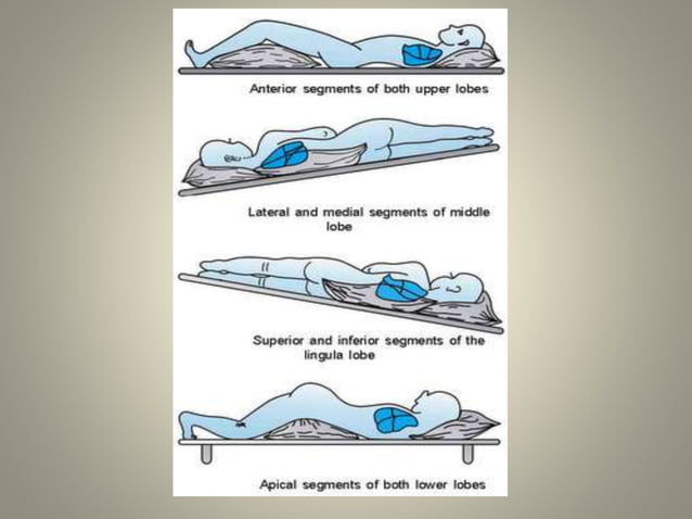 Chest Physiotherapy.. Dr.Padmesh | PPTX | Lung and Respiratory Health ...