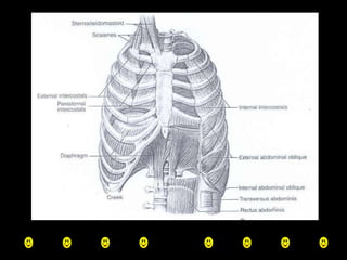 Chest PT_0b121db176cc778c9e1e1e8a6f736459.ppt