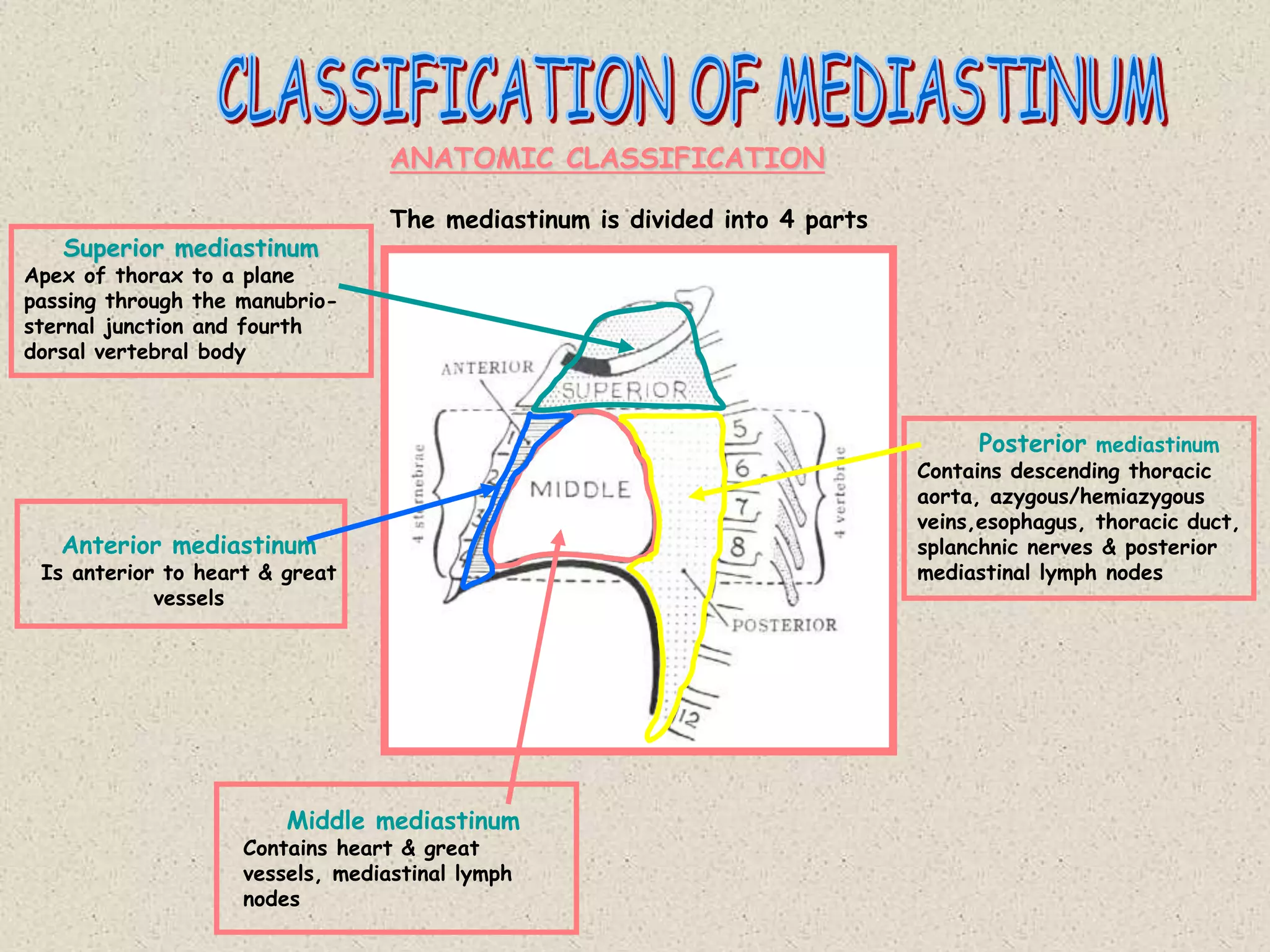 Chest Radiology.ppt