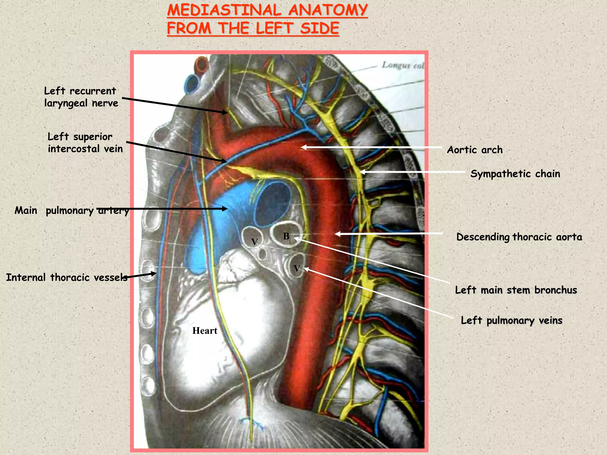 Chest Radiology.ppt