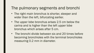 CHEST RADIOLOGY (Respiratory System).pptx