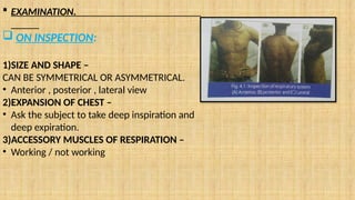 Chest Symmetry & Chest Expansion.pptx... | PPTX