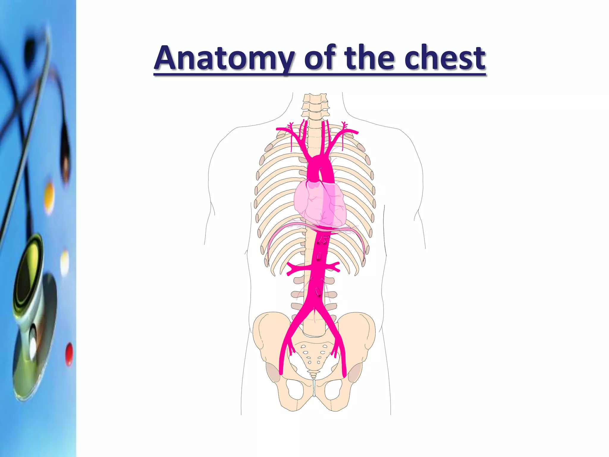 Chest trauma | PPTX