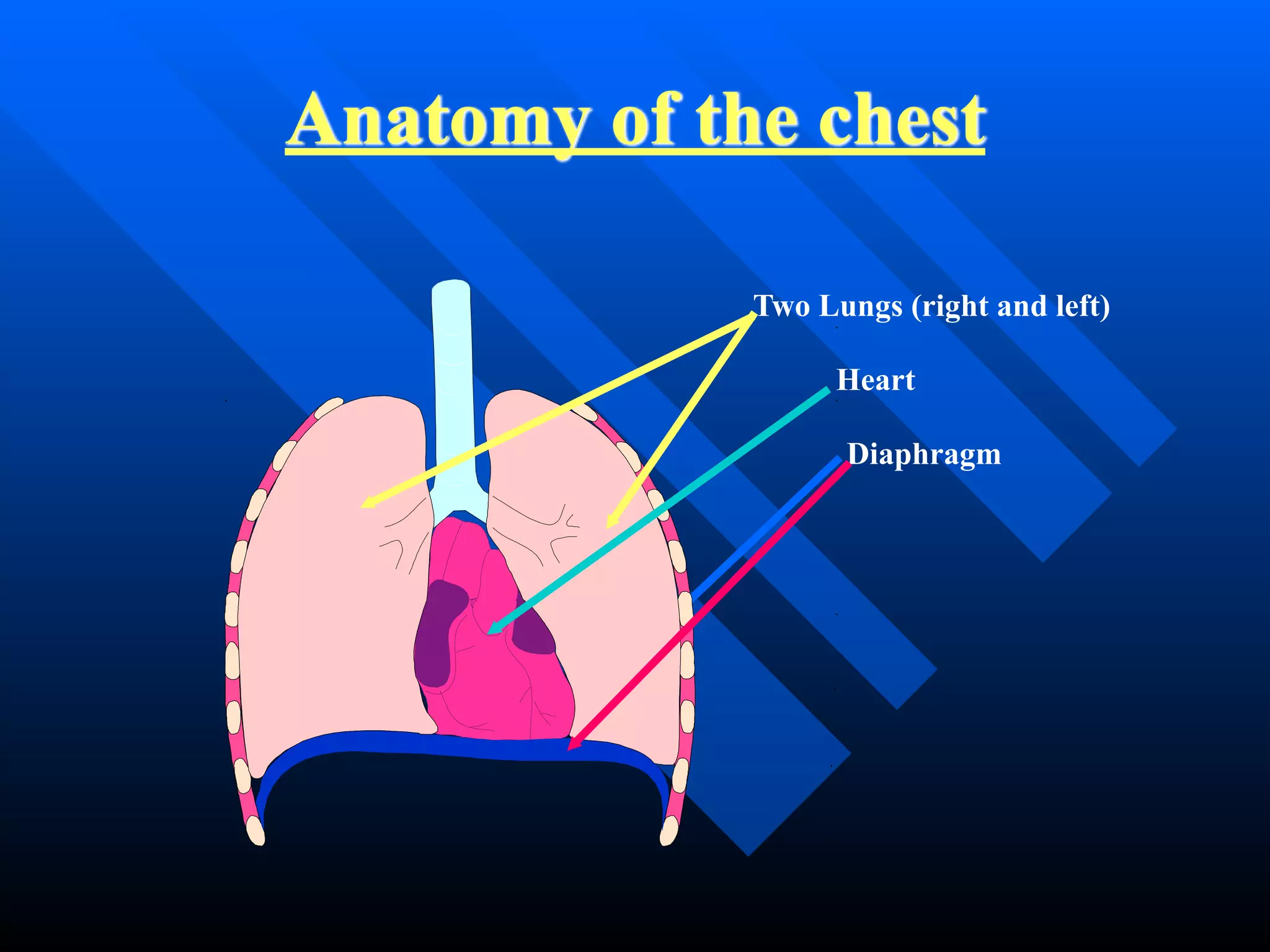 Chest trauma | PDF