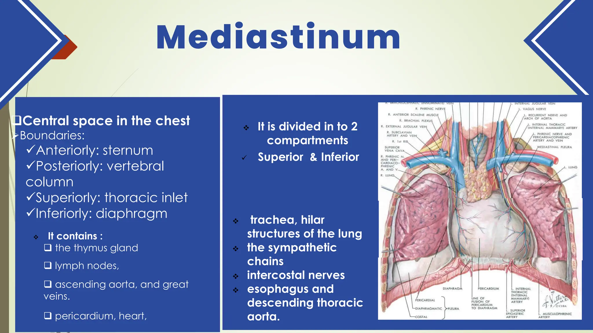 CHEST TRAUMA and Thoracic outlet syndrome- AMRAN UN.pptx