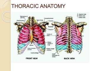 Chest trauma | PPTX