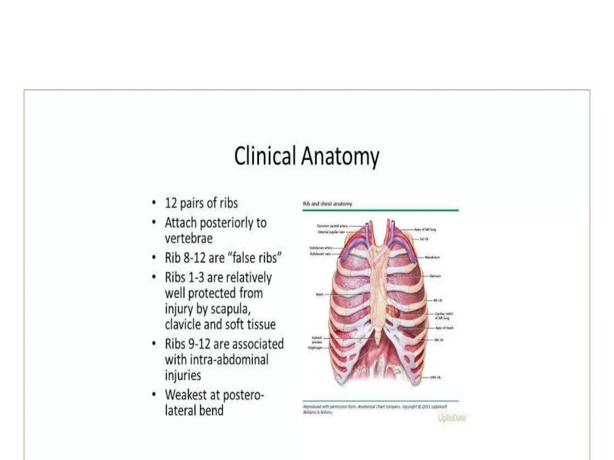 Chest trauma, introduction, summary and results | PPTX