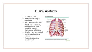 Chest Trauma .pptx