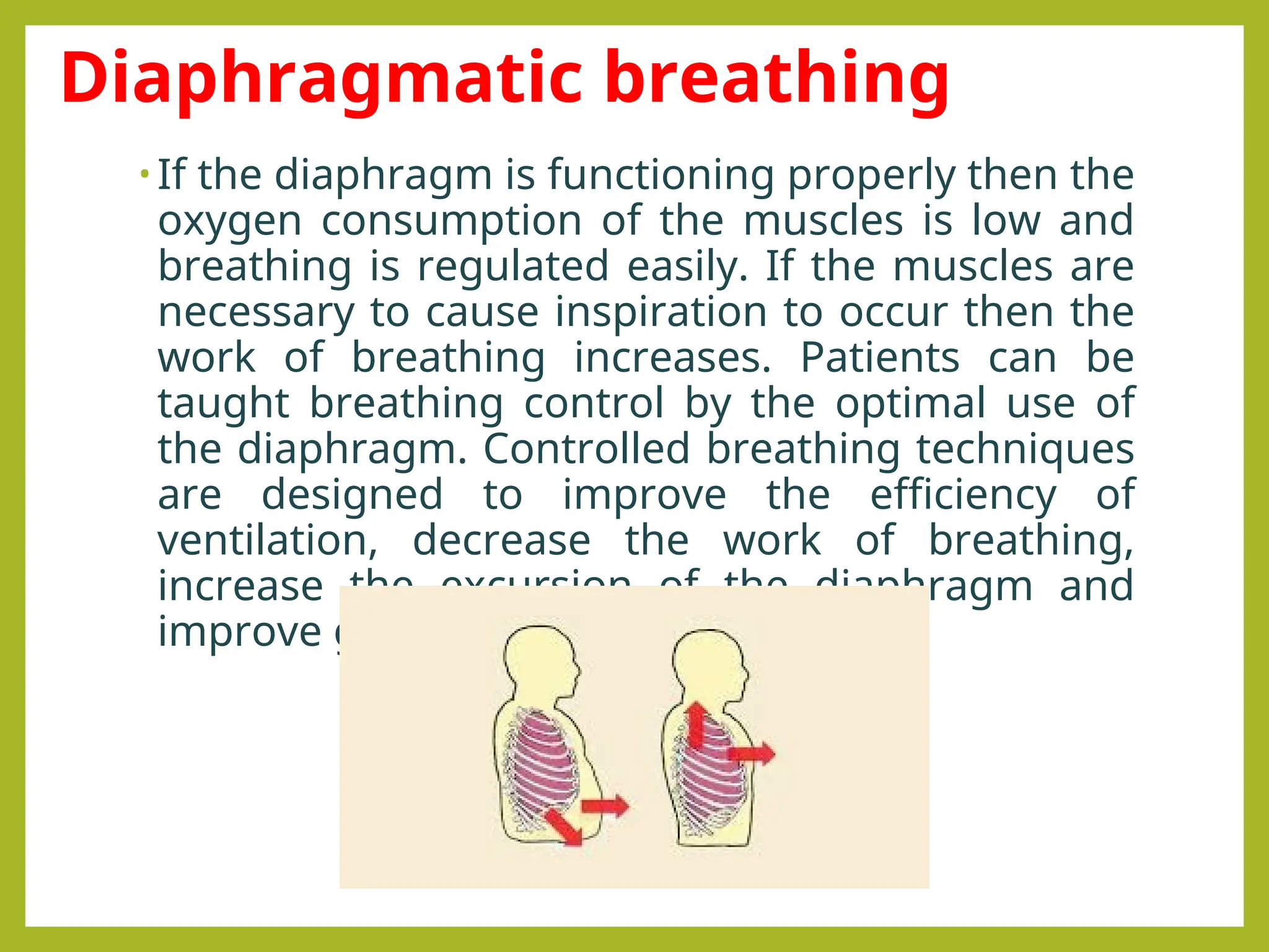 chest tube and physiotherapy for nursing.ppt