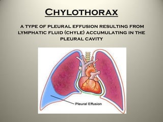 Chest tube care copy | PDF | Lung and Respiratory Health | Diseases and ...