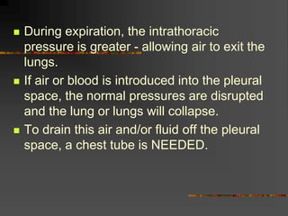 ChestTubes and the drainages - Nursing Care | PPT