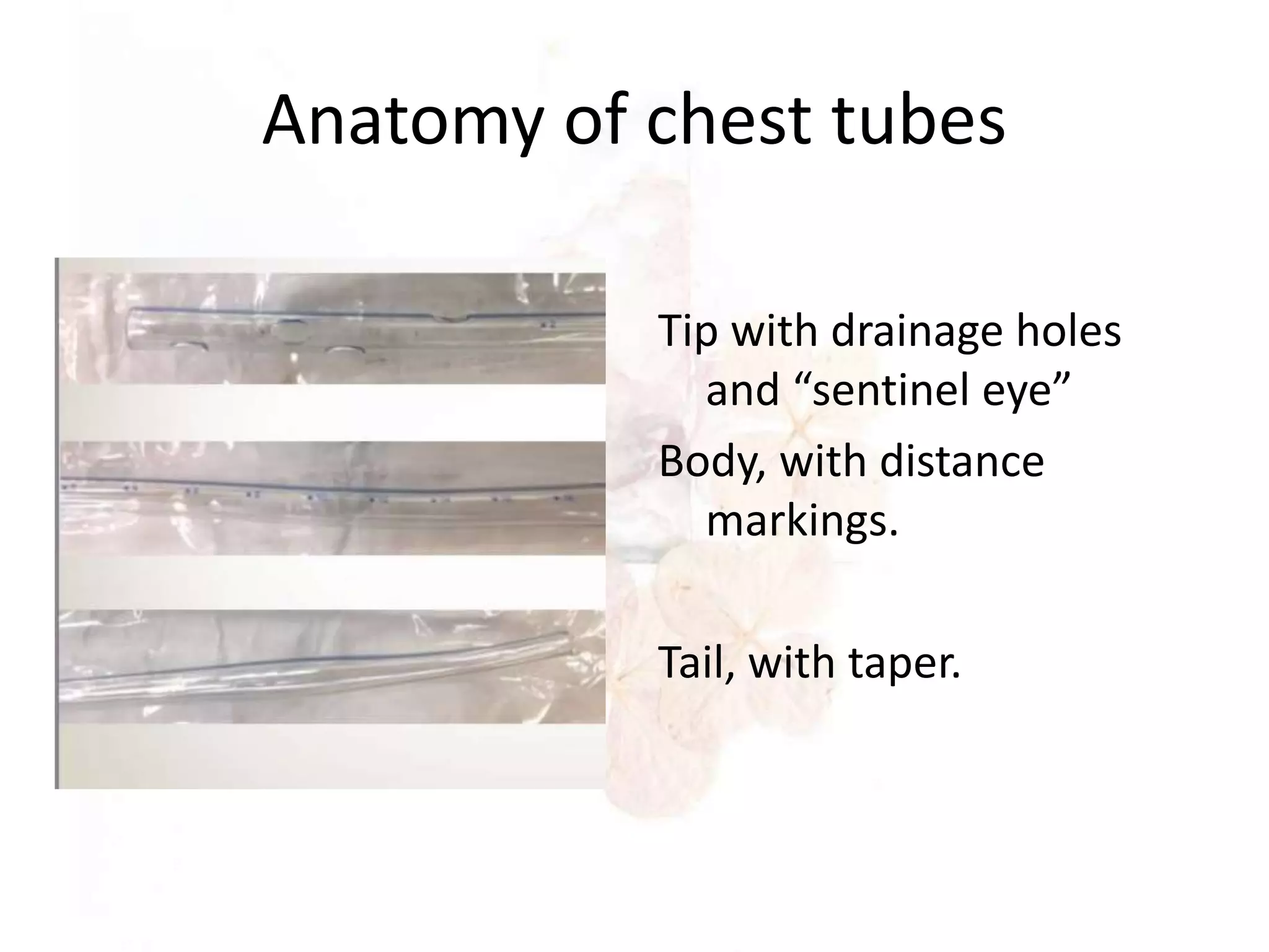 Chest tube insertion ppt (surgery) | PPTX