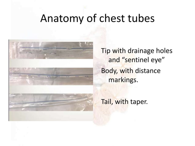 Chest tube insertion ppt (surgery) | PPTX