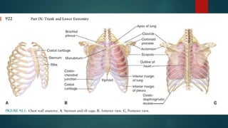 Chest wall defects and their reconstruction | PPTX