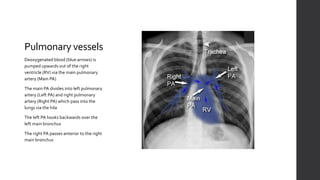 Chest X-ray: The Basics | PPTX