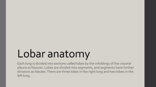 Chest X-ray: The Basics | PPTX