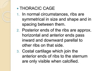CHEST X-RAY F.pptx