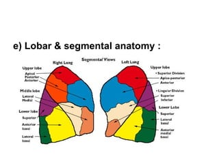 Chest X-rays Basic Interpretation | PPT