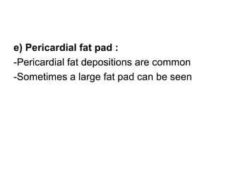 Chest X-rays Basic Interpretation | PPT